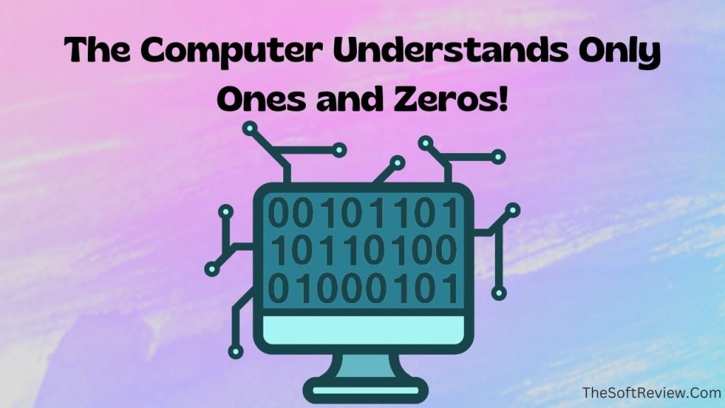 What is a Website & How Does it Convert Binary Code for Us?